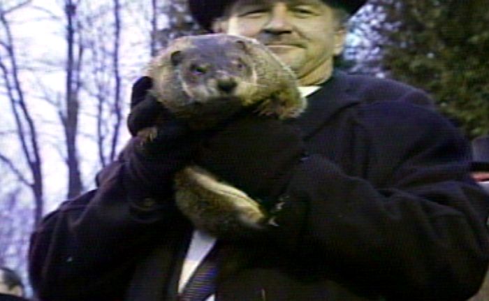PETA: Use a robot for Groundhog Day | kgw.com