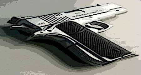 Clark Co. makes guns legal in parks | kgw.com