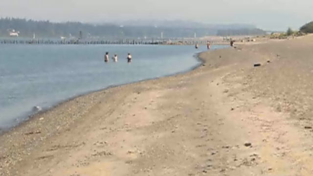 Trashed Portland beach becomes treasure | kgw.com