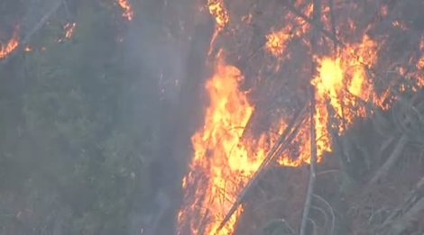 Raw: Wildfire burning near Hood River | kgw.com
