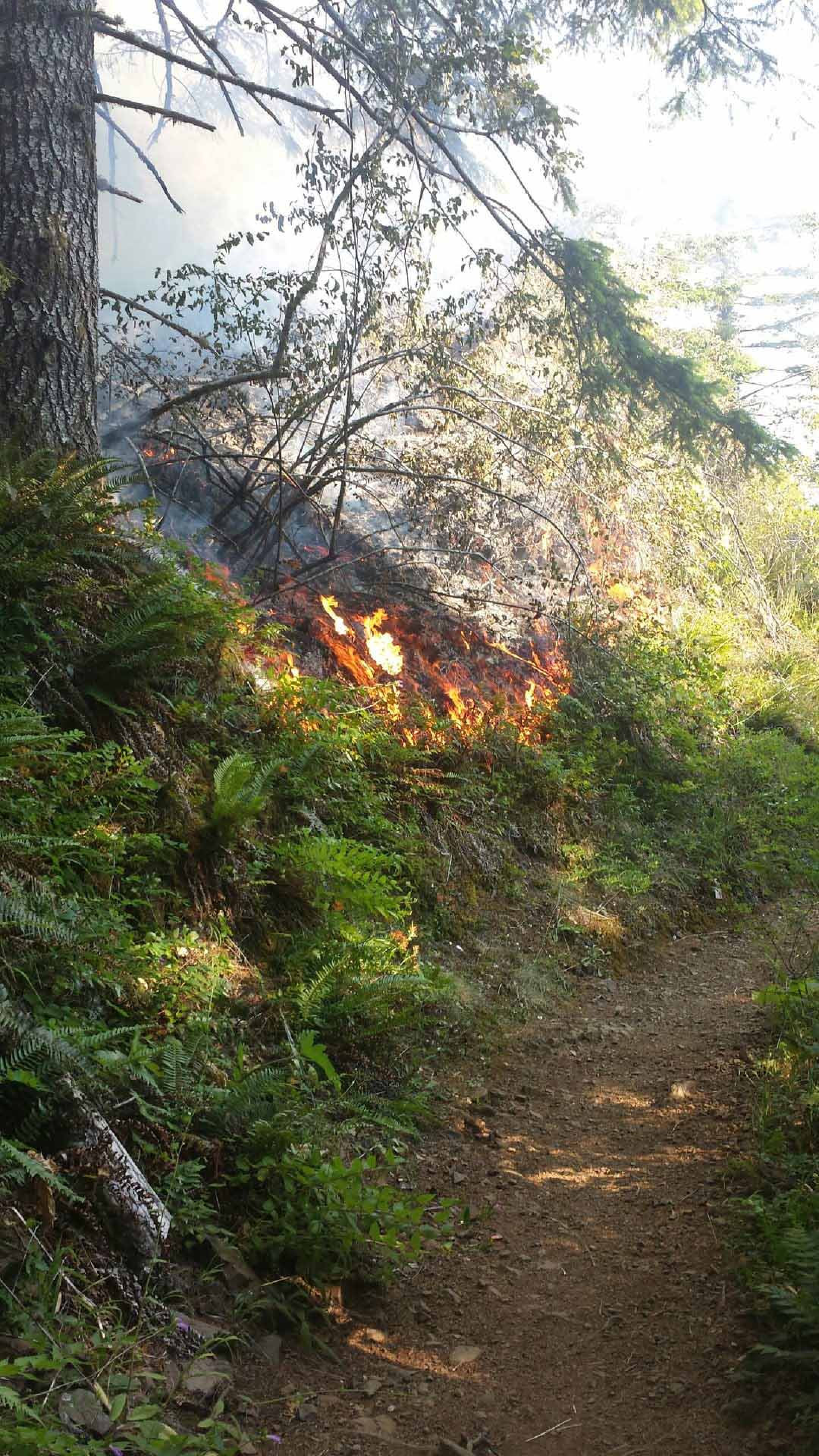 Hikers trapped by wildfire on north coast Saddle Mountain trail | kgw.com
