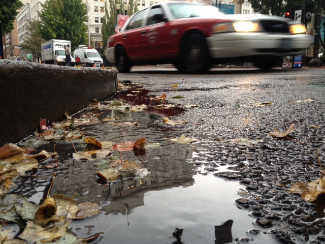 Saturday storm front brings heavy wind and rain | kgw.com