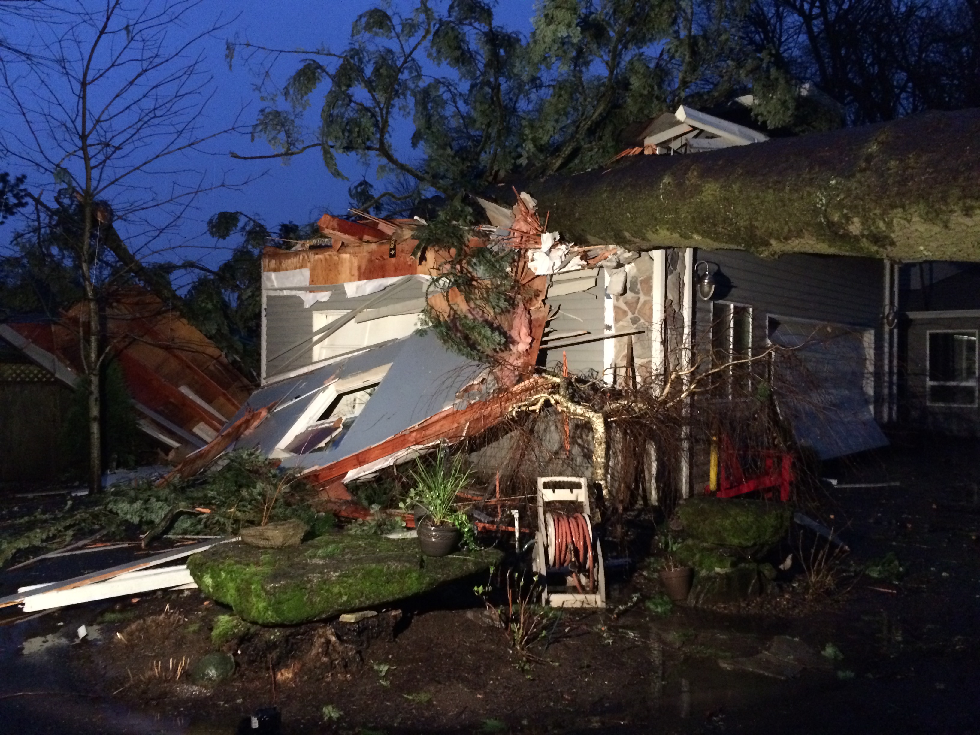 West Linn man escapes serious injury after tree falls | kgw.com