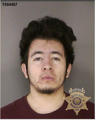 Report: Nicole Laube described attacker before she died | kgw.com