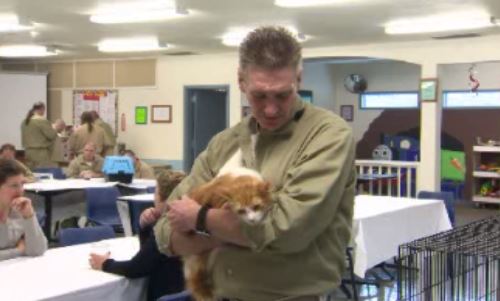 Pet adoption program pairs prisoners with cats | kgw.com
