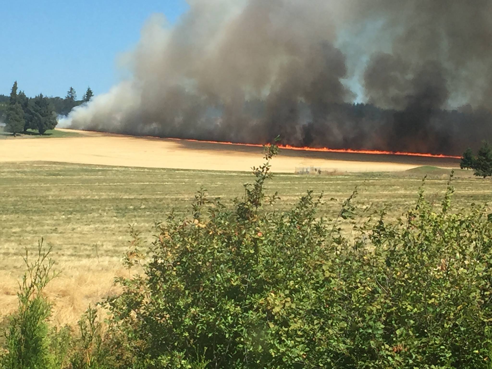 Grass fire forces evacuation of Banks golf course | kgw.com