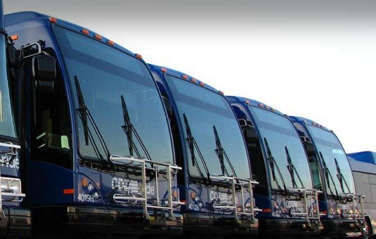 Eugene transit district buys first all-electric buses | kgw.com