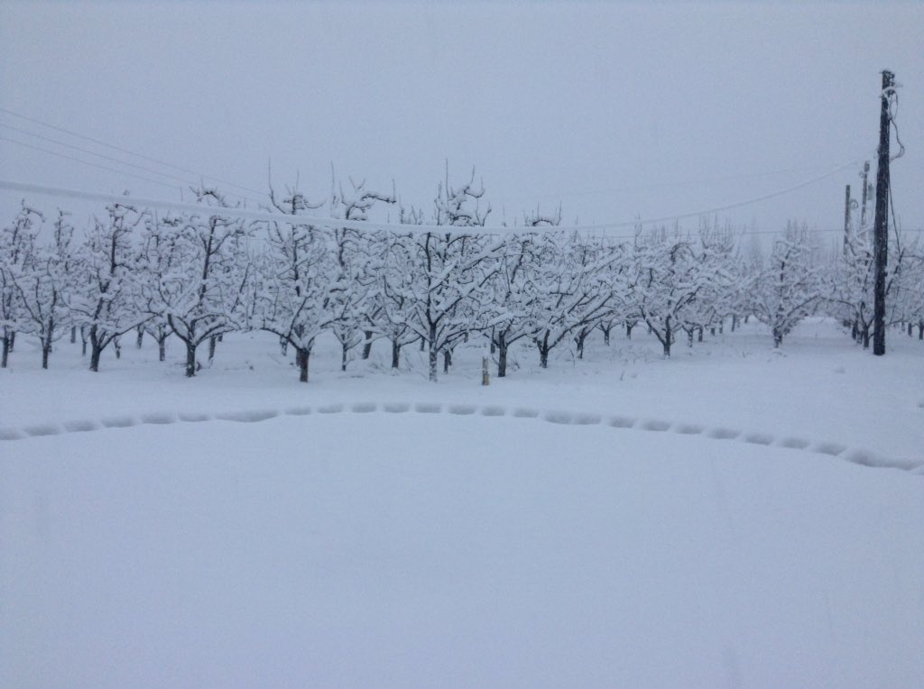 Sunriver already passing snow average for season | kgw.com