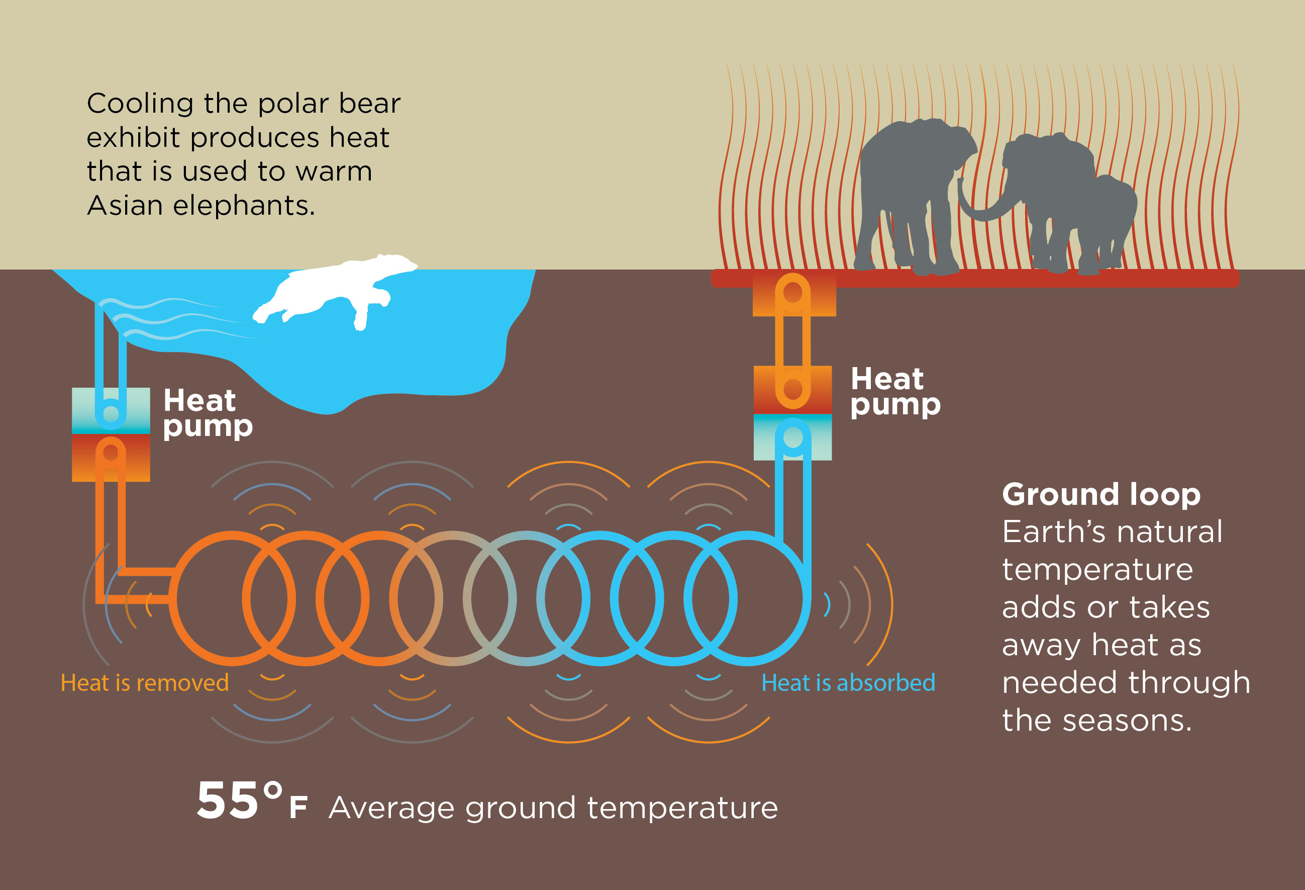 Oregon Zoo awarded for innovative elephant pool | kgw.com