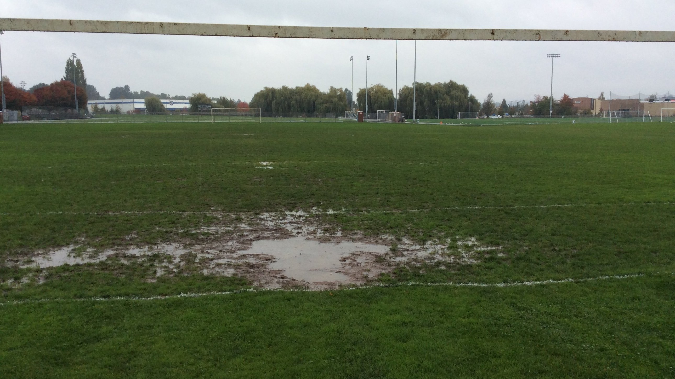 Portland Parks & Recreation fields reopen Saturday | kgw.com