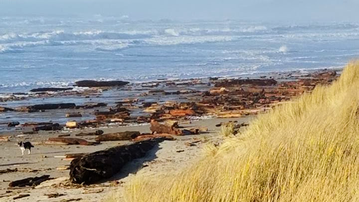 PHOTOS: Storm damage along the Oregon Coast | kgw.com