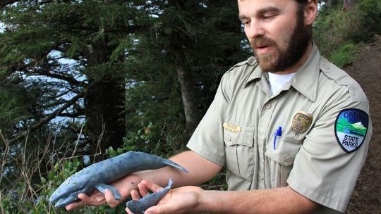 Oregon's state parks seek more rangers, money for improvements | kgw.com