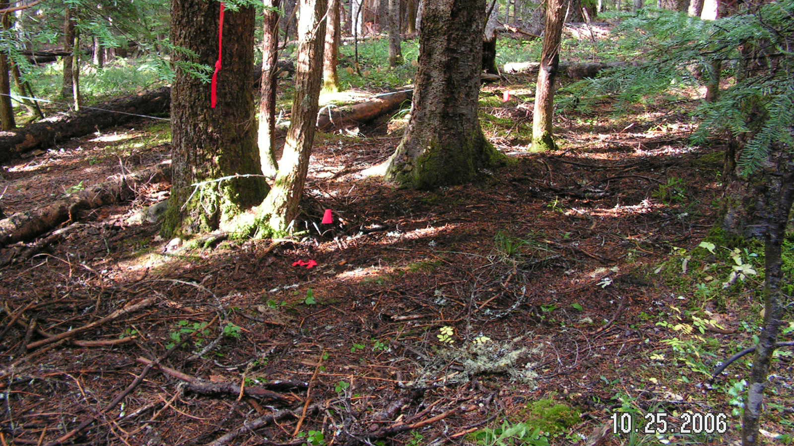 Photos: Unidentified remains in Oregon | kgw.com